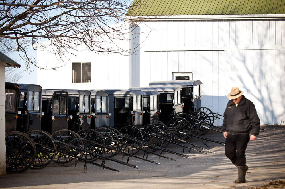 Old Order Amish Beliefs (Customs & Traditions) – Amish Baskets